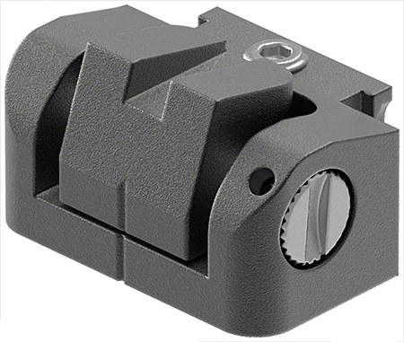 Leupold 120058 DeltaPoint Pro Rear Iron Sight Co-Witness, Black ...